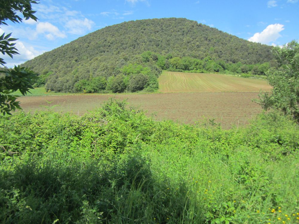 Volcanic Landscapes: Olot Volcanic Field: Croscat volcano