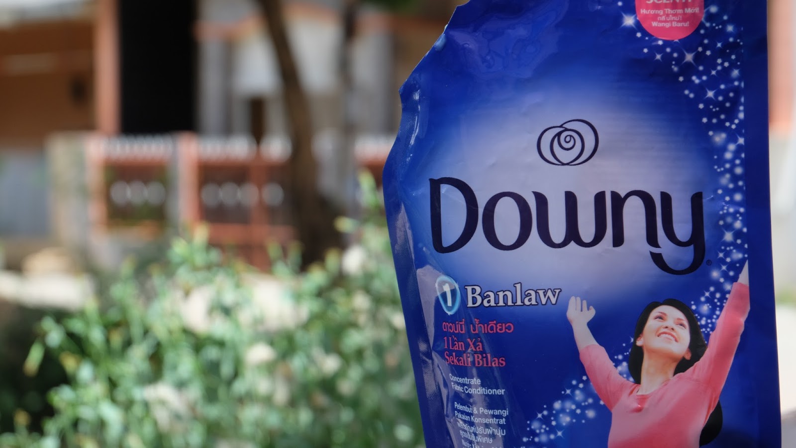 Downy Yang Paling Harum Warna Apa | Ide Perpaduan Warna