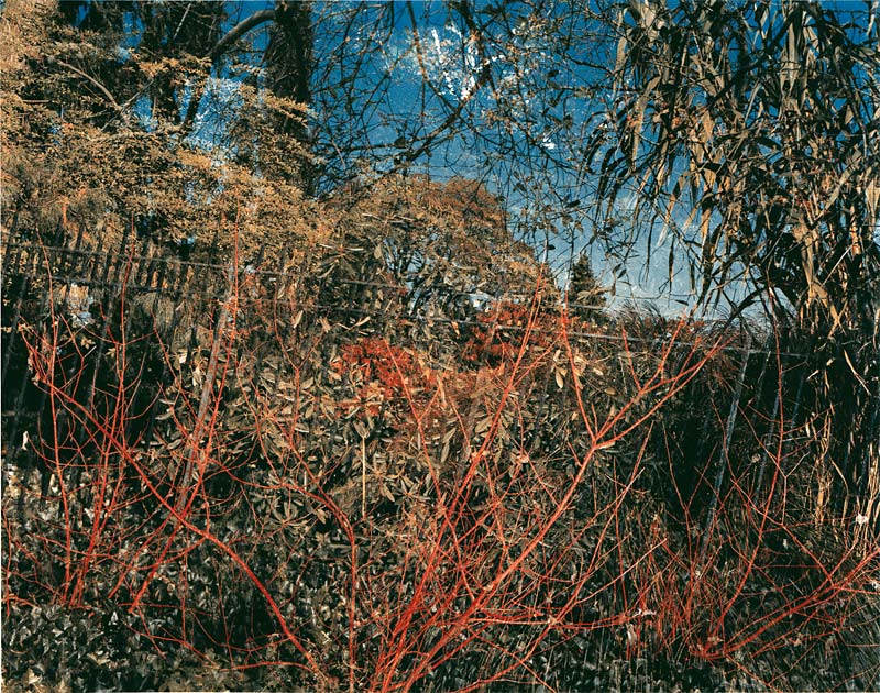 B: Q & A with Stephen A. Scheer, Part 2