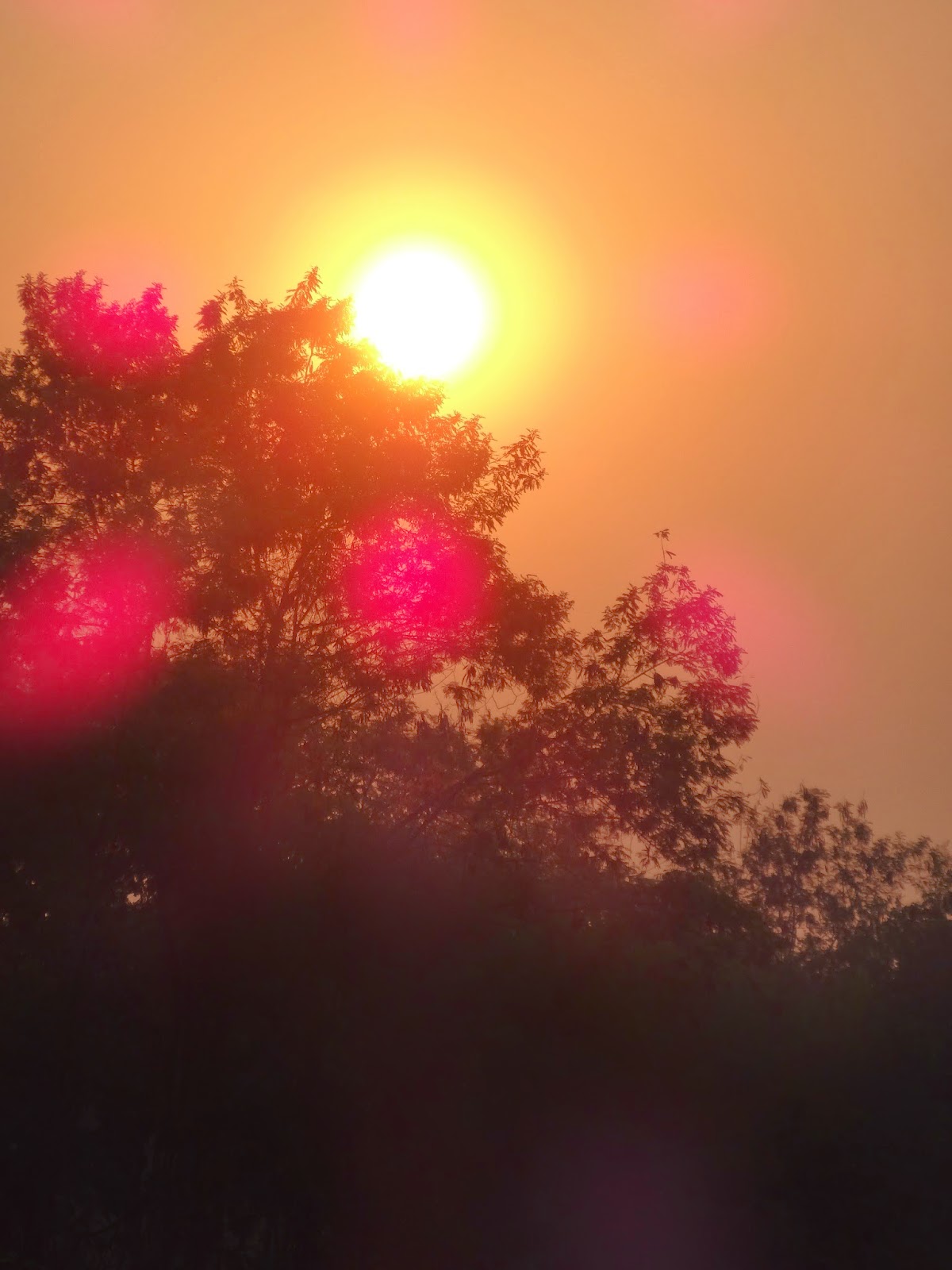 The estetic of senses!: Colors of the day in Thailand.