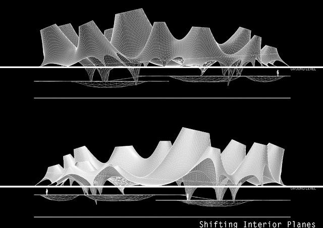 hybridbiostructures: Design Development/ Analysis of Emergent Form
