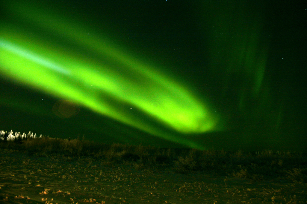 Rex's Adventures: More Adventures In The Planning-Alaska and The Smokey ...