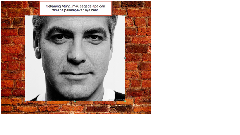 Edit Foto dengan Efek Bunglon di Photoshop ~ Graphic in Design