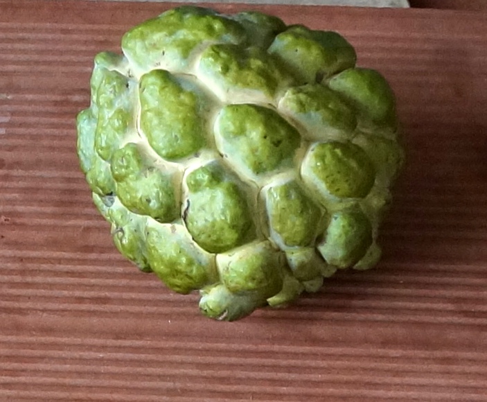 Connecting with Nature: Giving Thanks For Sugar Apples