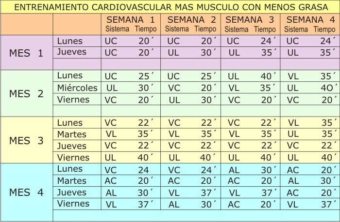 Musculación Y Salud El Arte De Entrenar Y Alimentarse Bien