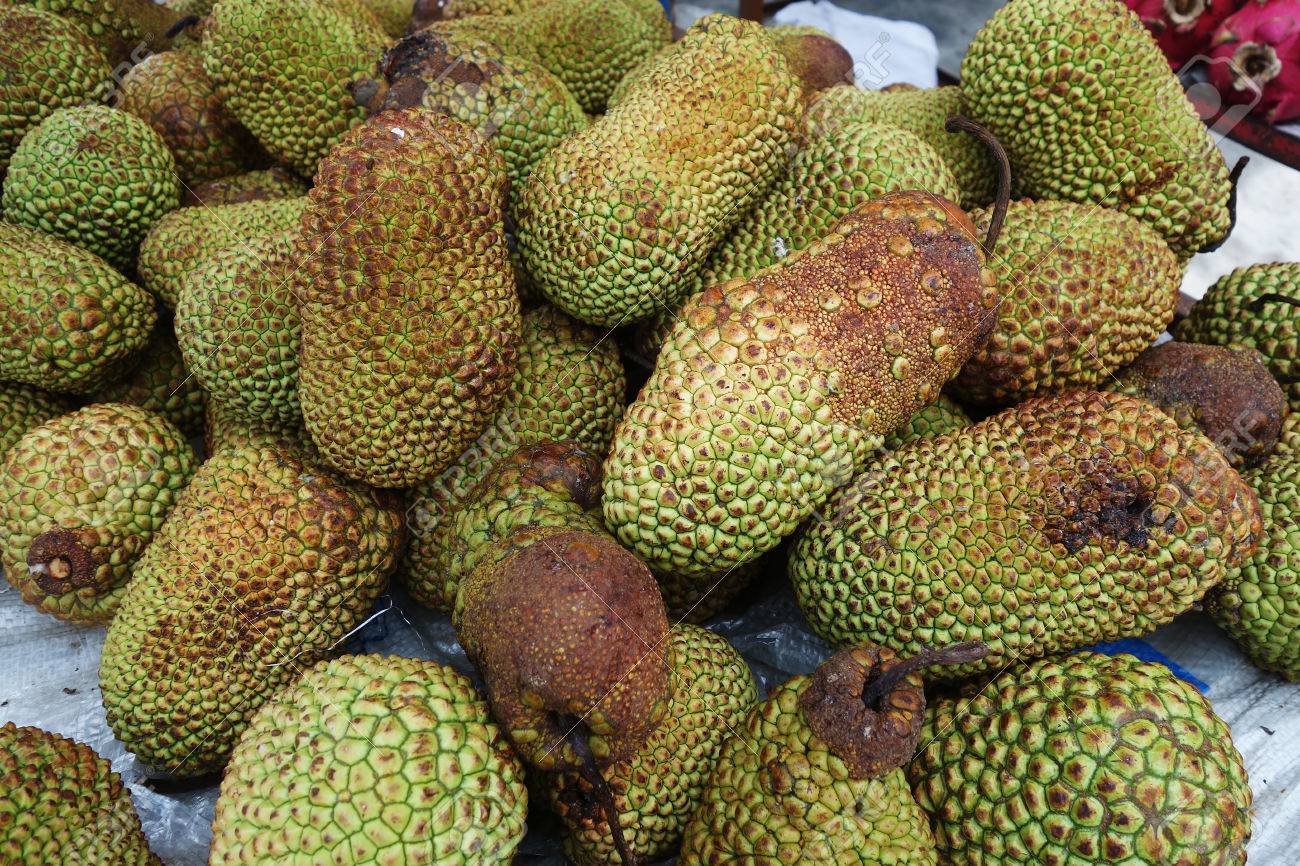 Penelitian Tentang Buah Cempedak sebagai Bahan Pangan Yang Multi Manfaat