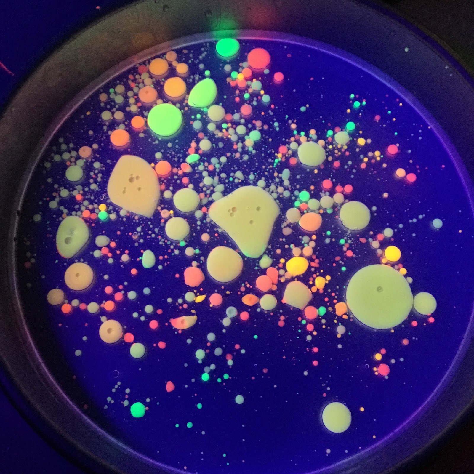 Oil & Glowing Water Science Experiment