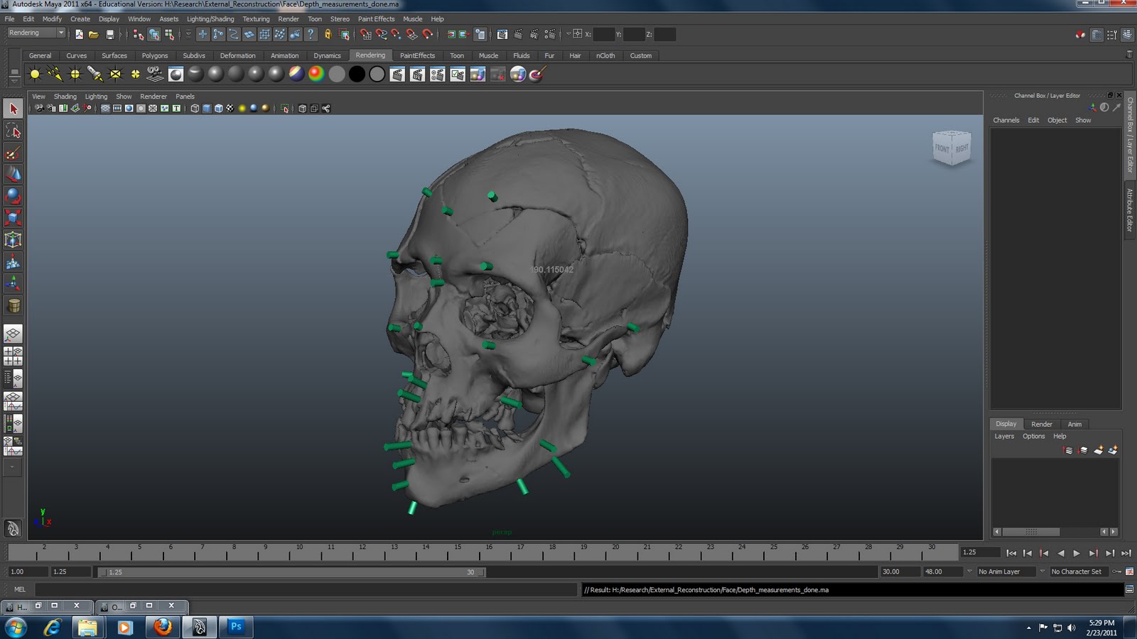 maya | modeling | animation: Facial Reconstruction of Early Human