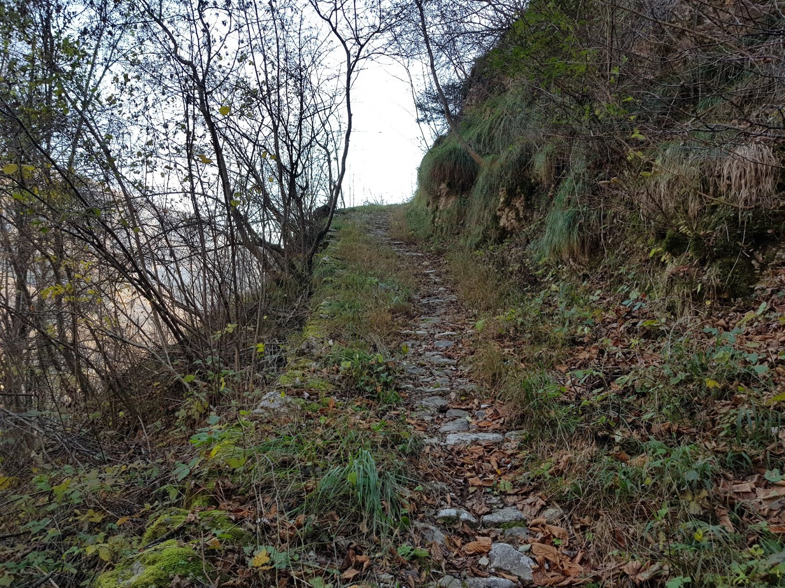 Su strade e sentieri: COL D'ASTIAGO (m. 1.241) - SENTIERO DEL VU - Val ...