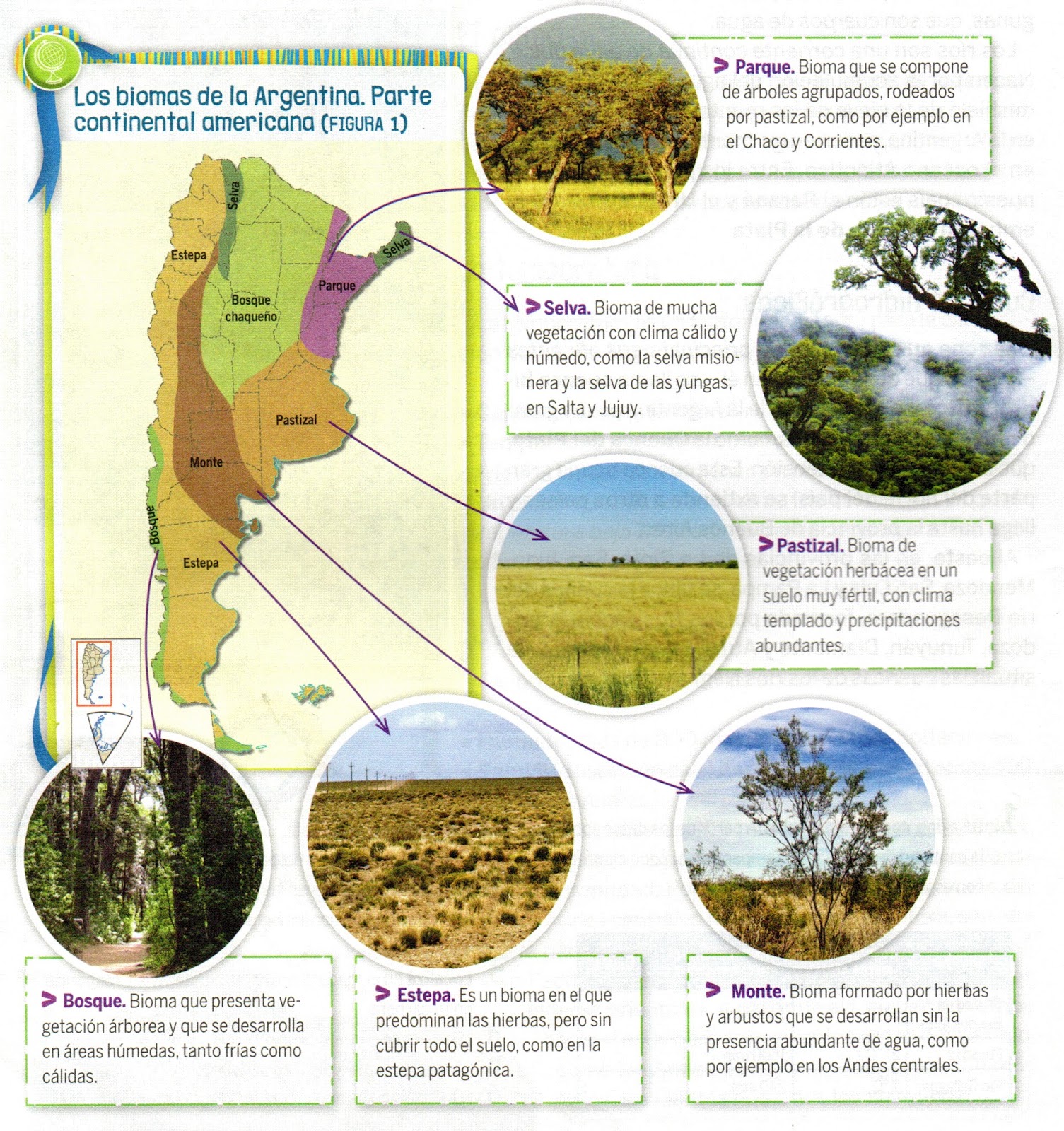 Educacion Para todos: Los Biomas