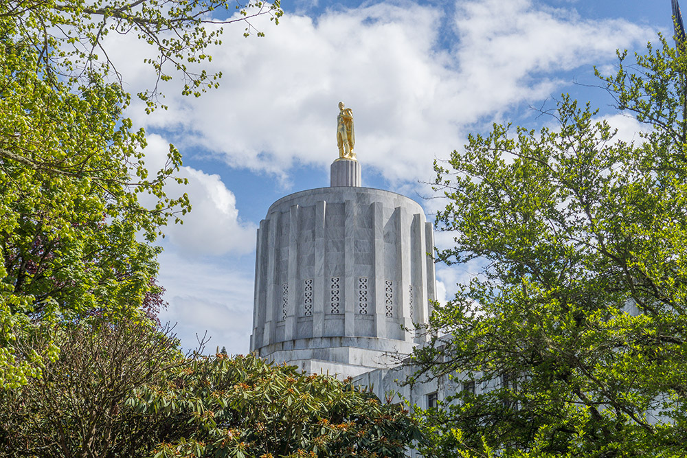 Merikay's Dream : Three days in Salem Oregon