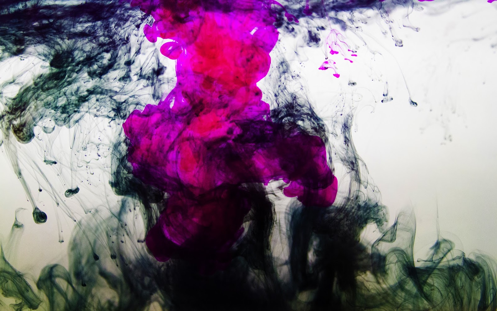 Unit 1 Photography: Ink Dispersion