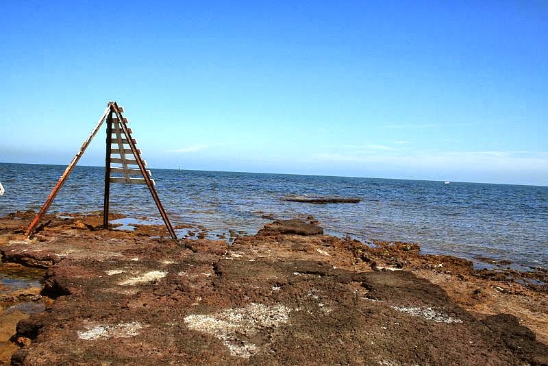 TRACKS, TRAILS AND COASTS NEAR MELBOURNE : Rickett's Point Sanctuary ...