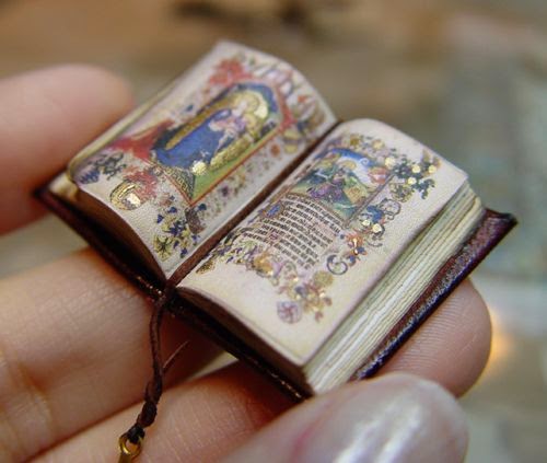 Las Lecturas de Nancy Sánchez: 15 Imágenes de Libros en Miniatura