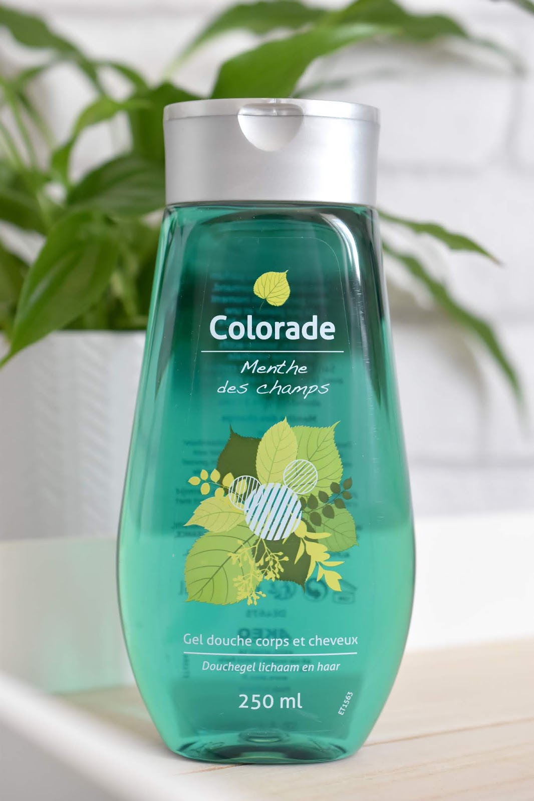 Découvertes et favoris de l'été