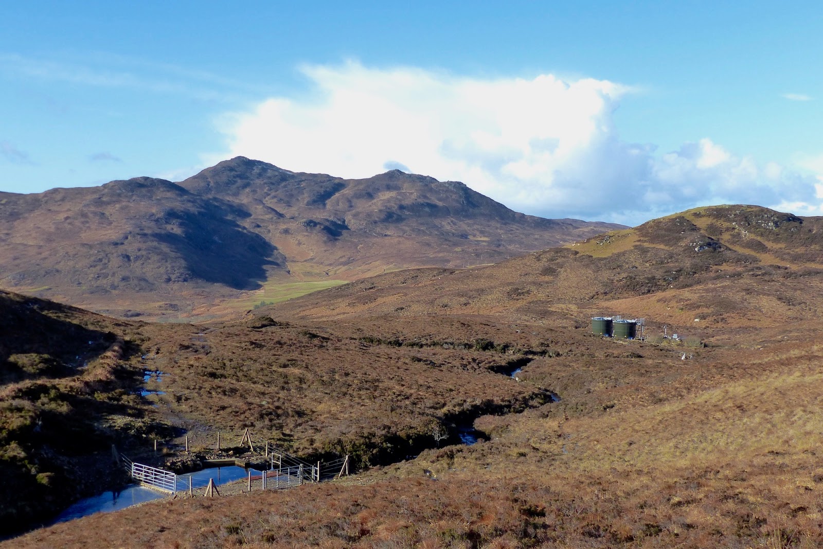 A Kilchoan Diary: Lochan Sron nan Sionnach