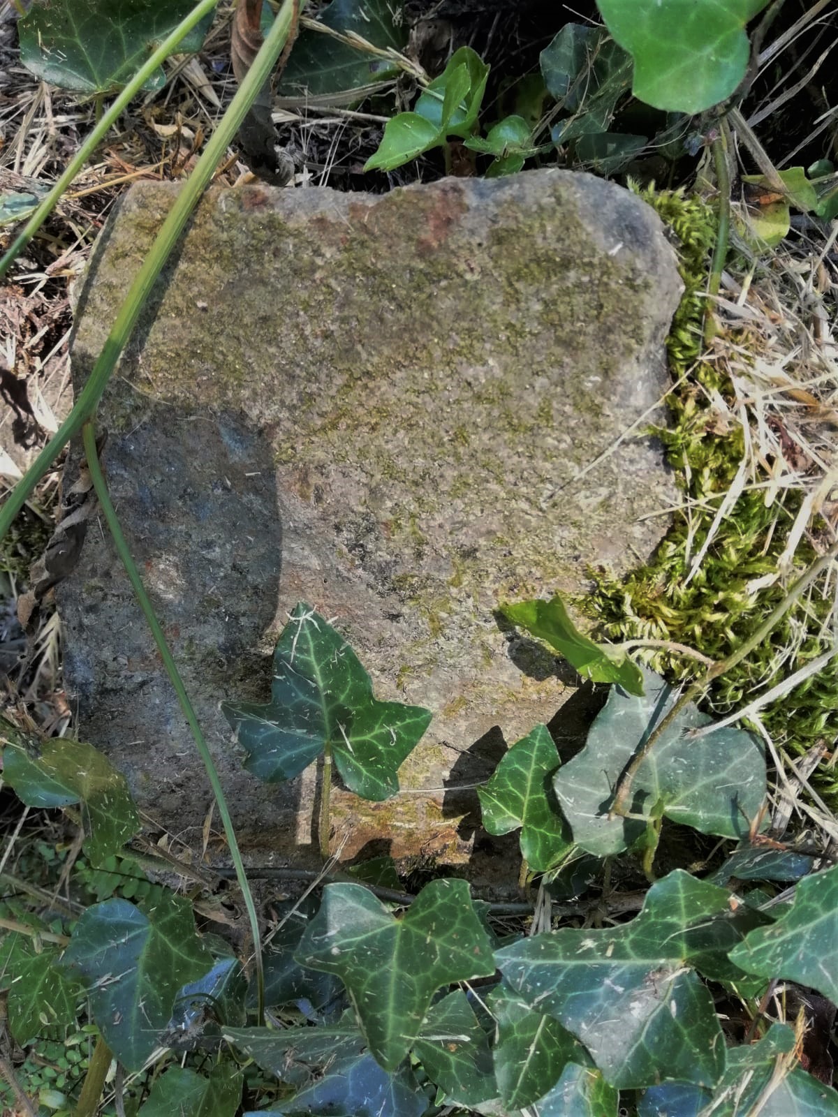 MineralesDB: julio 2018