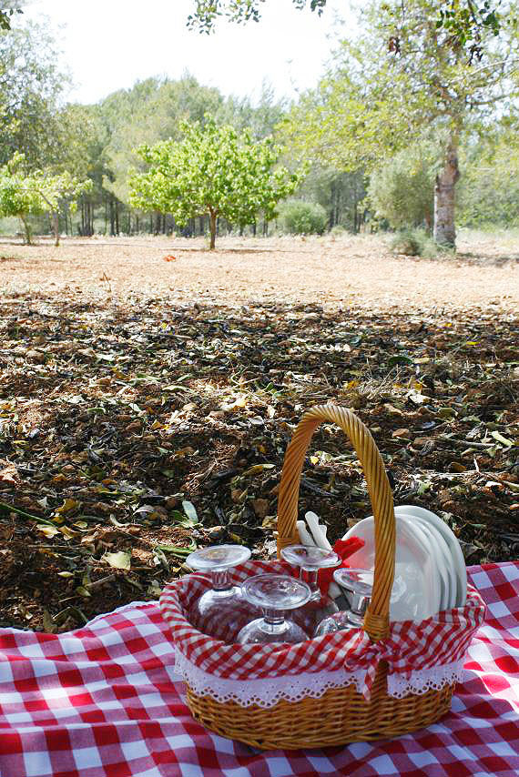 Picnic al más puro estilo ibicenco | Blog Dit i Fet