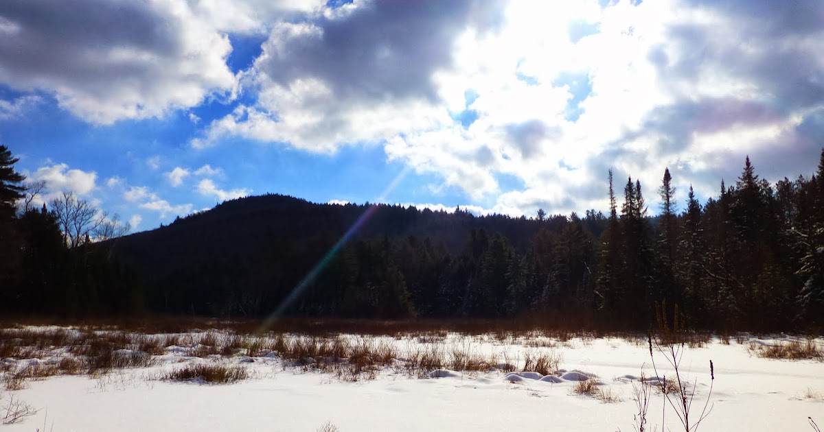 Off on Adventure: XC Ski Pharaoh Lake - Pharaoh Lakes Wilderness - 2/9/14