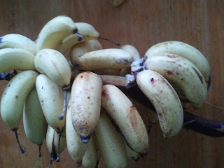 CaTaTaN JeMaRi ..AnAk PaNtAi..: Pisang Putar Oh Pisang Putar