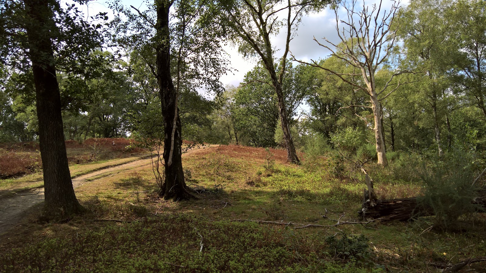 Bergloper: Posbank (Rheden)