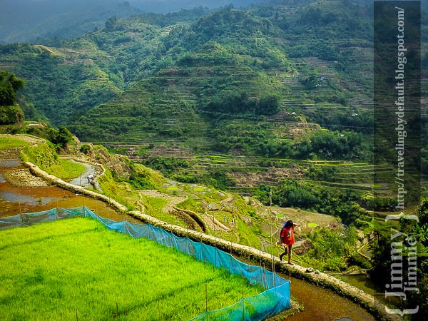 Ifugao: Banaue Rice Terraces Tour by Tricycle. - Traveling by default.