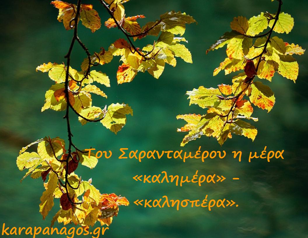 Karapanagos : ΝΟΕΜΒΡΙΟΣ! ΚΑΛΟ ΜΗΝΑ!
