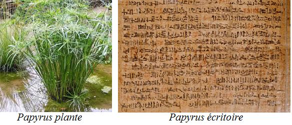 profinformeur: Qu'est ce qu'un Papyrus?