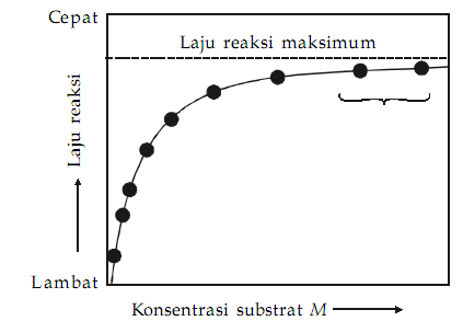 Faktor- faktor yang mempengaruhi kerja enzim - BELAJAR BIOLOGI