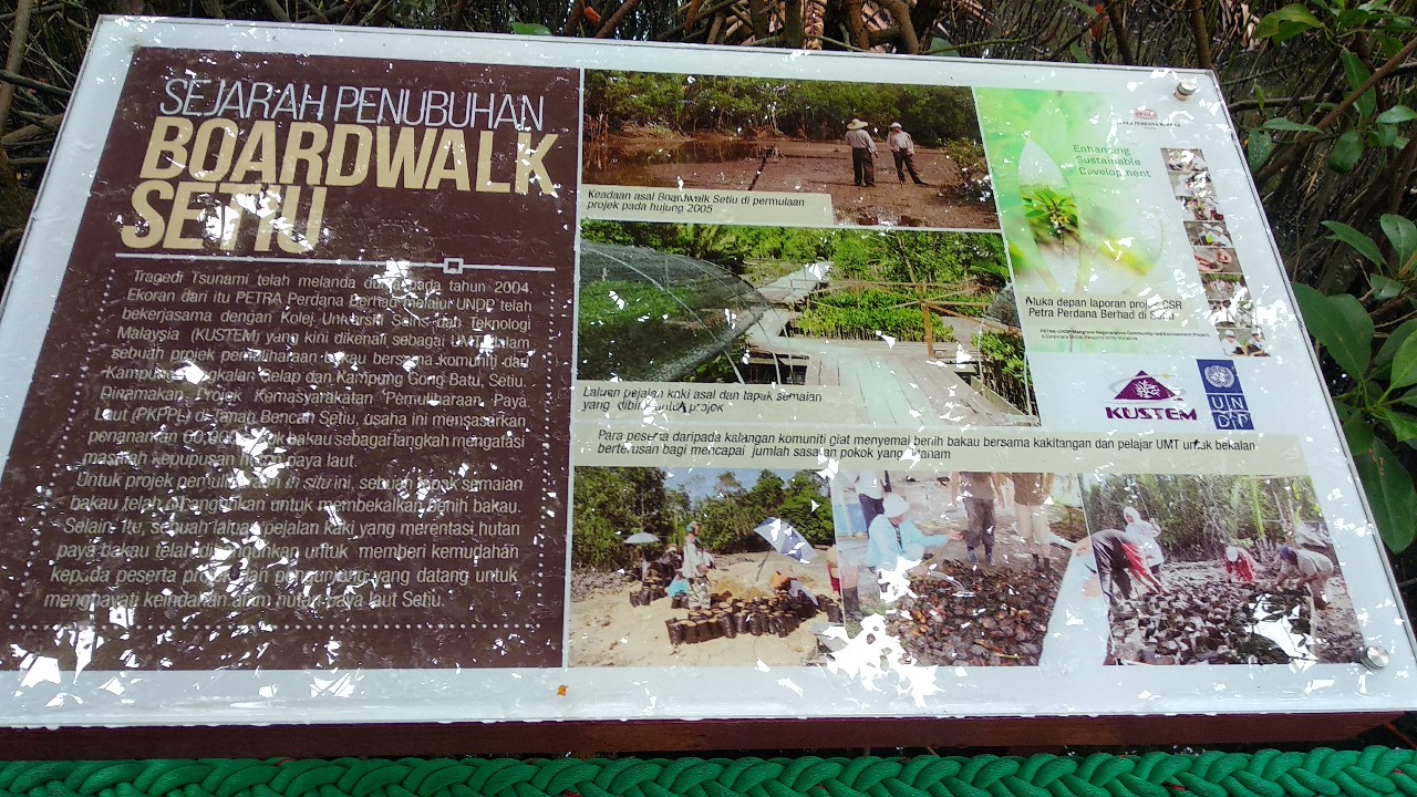 SETIU WETLAND BOARDWALK SETIU TERENGGANU | Kena Try
