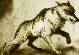 Le Roman de Renart: Le duel de Renart et d'Ysengrin - Ysengrin prend un ...