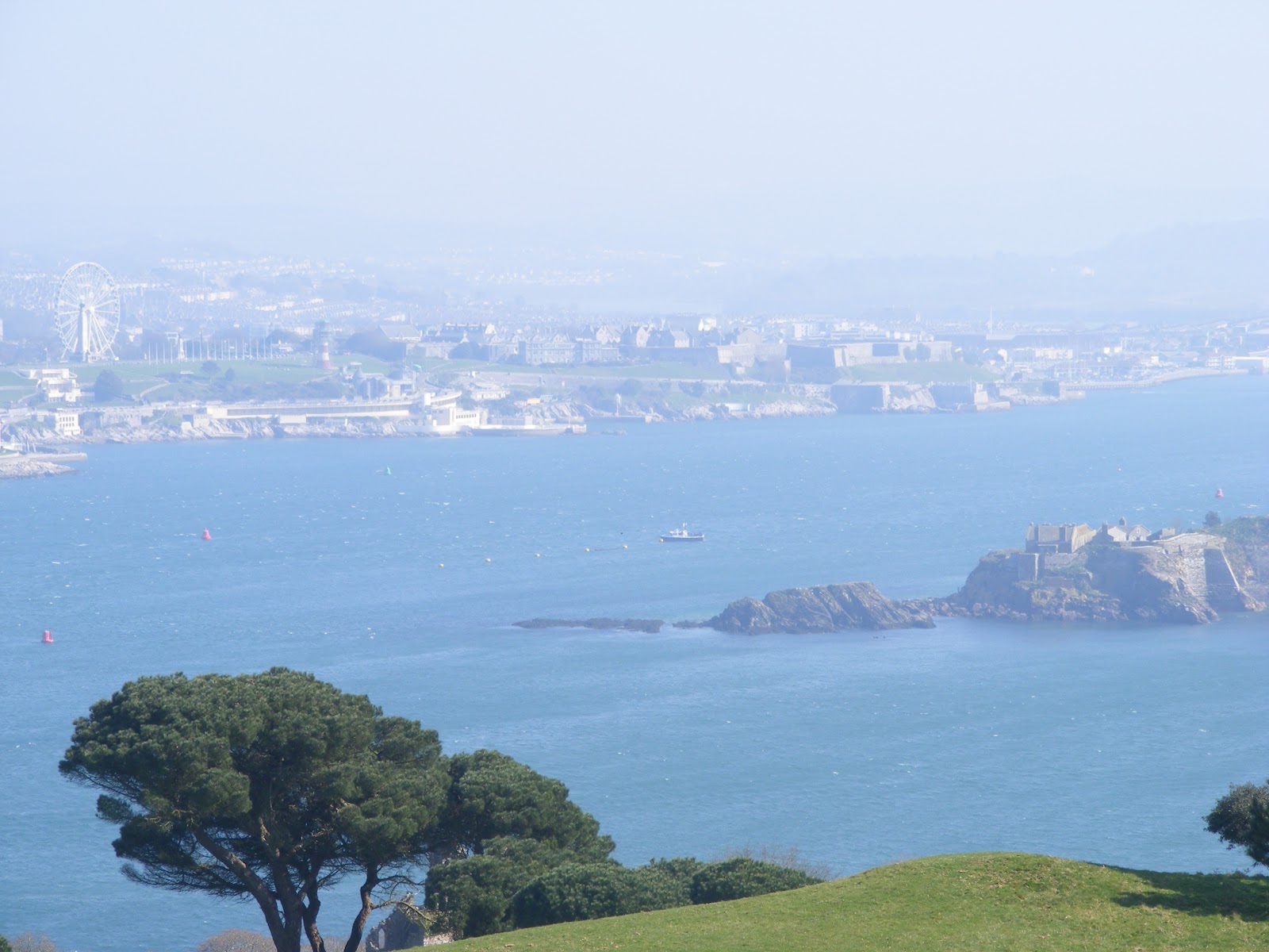 Life in Plymouth: Mount Edgecombe Deer Park