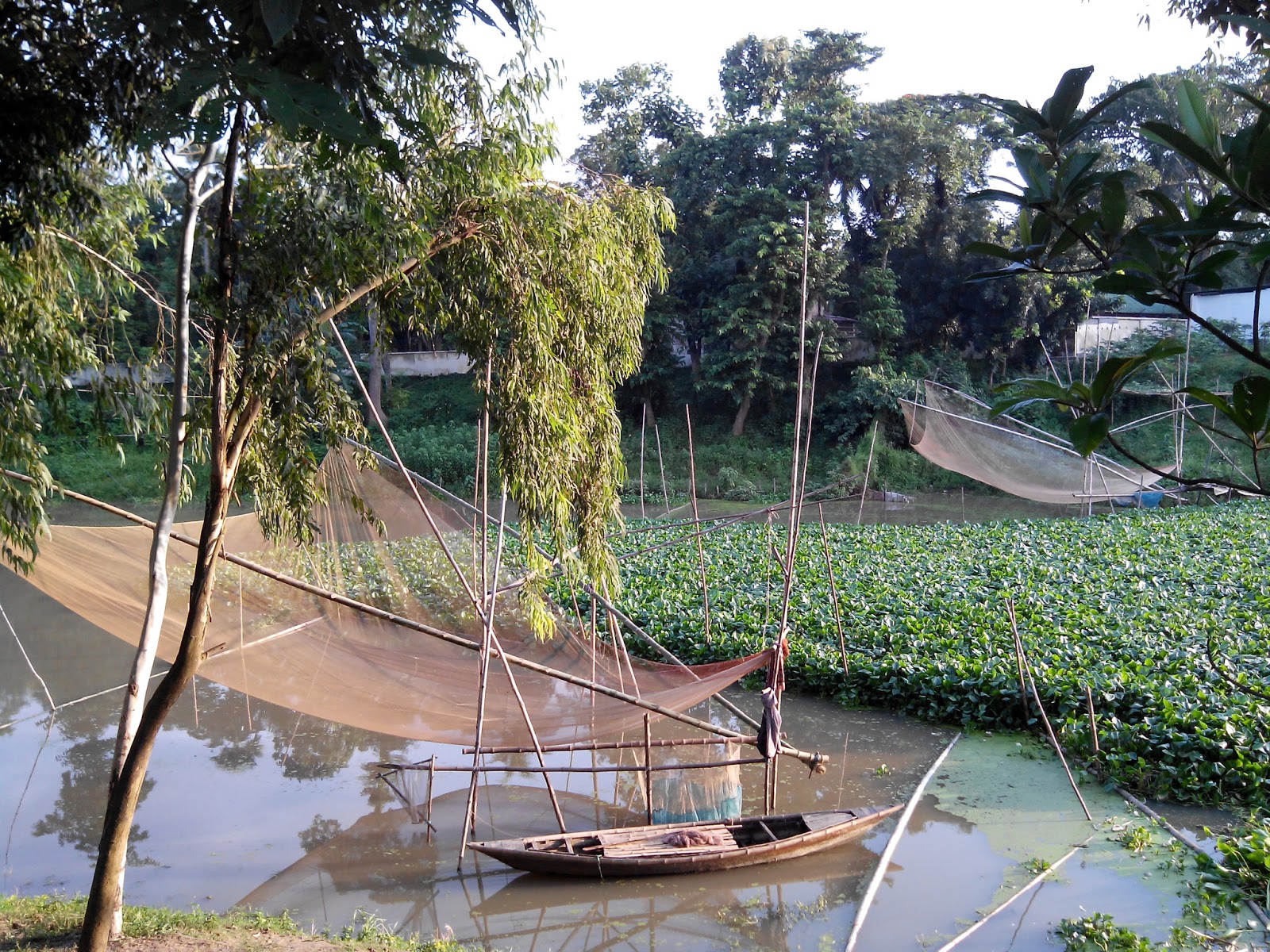 bangladesh hero alom: bogra Karatoa river