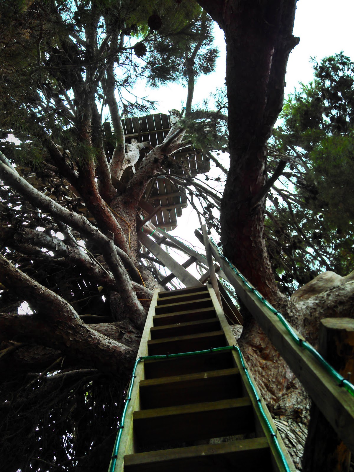 The Echo Hill Adventure: Dam It part 2 – George Turner’s Castle