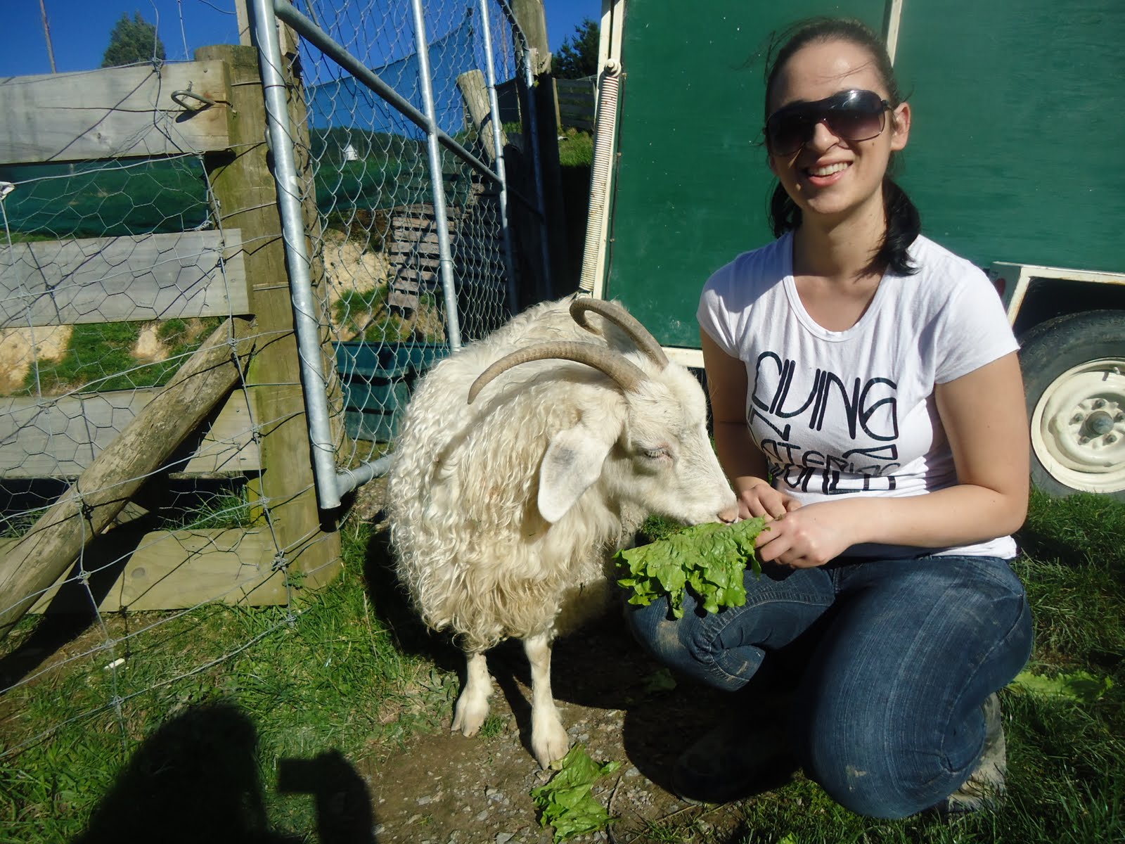 A load of HUHA: My day at HUHA