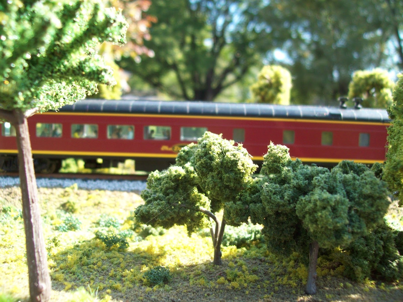 AP&WRR: FALL EXCURSION TIME!