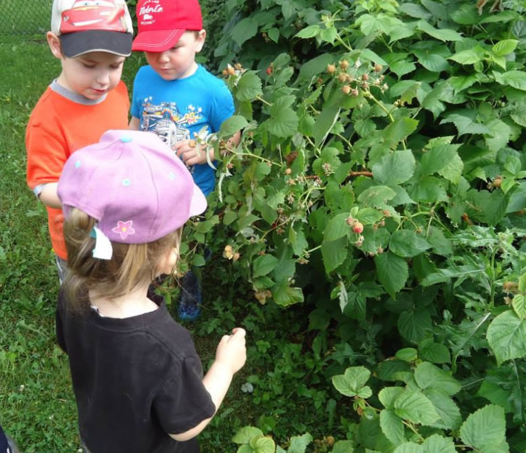Discovery Child Care Blog: 10 Ways Children Benefit From Nature-Based ...