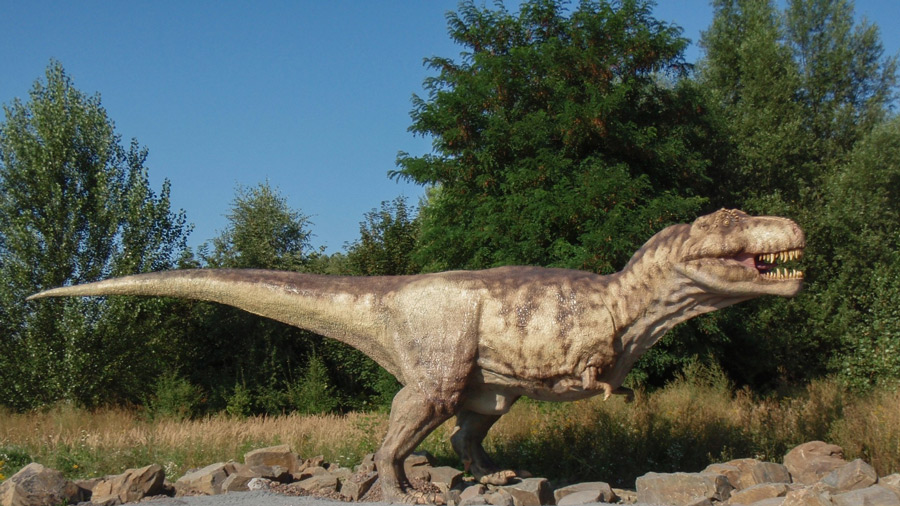 the closest living relatives to the t-rex are chickens, and other facts