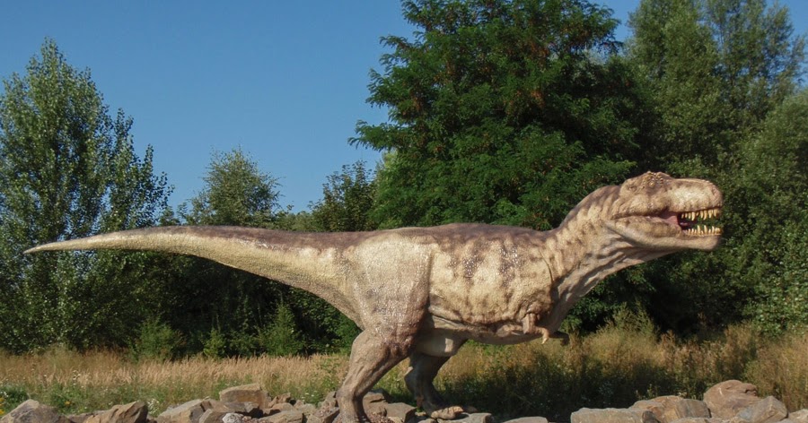 the closest living relatives to the t-rex are chickens, and other facts