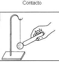 Tecnofolio Leonela: 2015