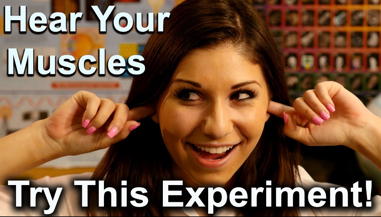 Lincoln Physics: See Inside Your Own Eye and Hear Your Own Muscles