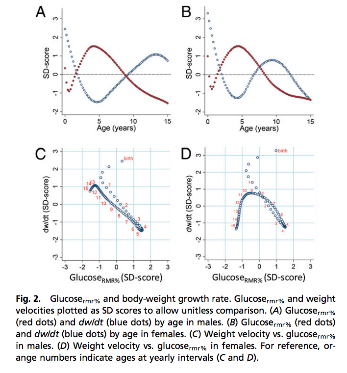 Information Processing: Metabolic costs of human brain development