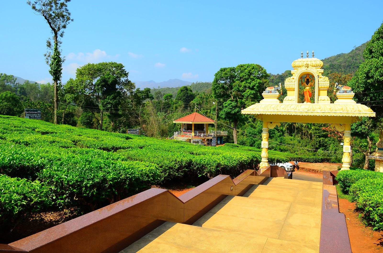 Sharath Hassan A Travelling Photographer: Samse Tea Estate near ...