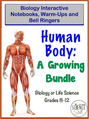 Amy Brown Science: Respiratory System Warm Ups and Interactive Notebook ...