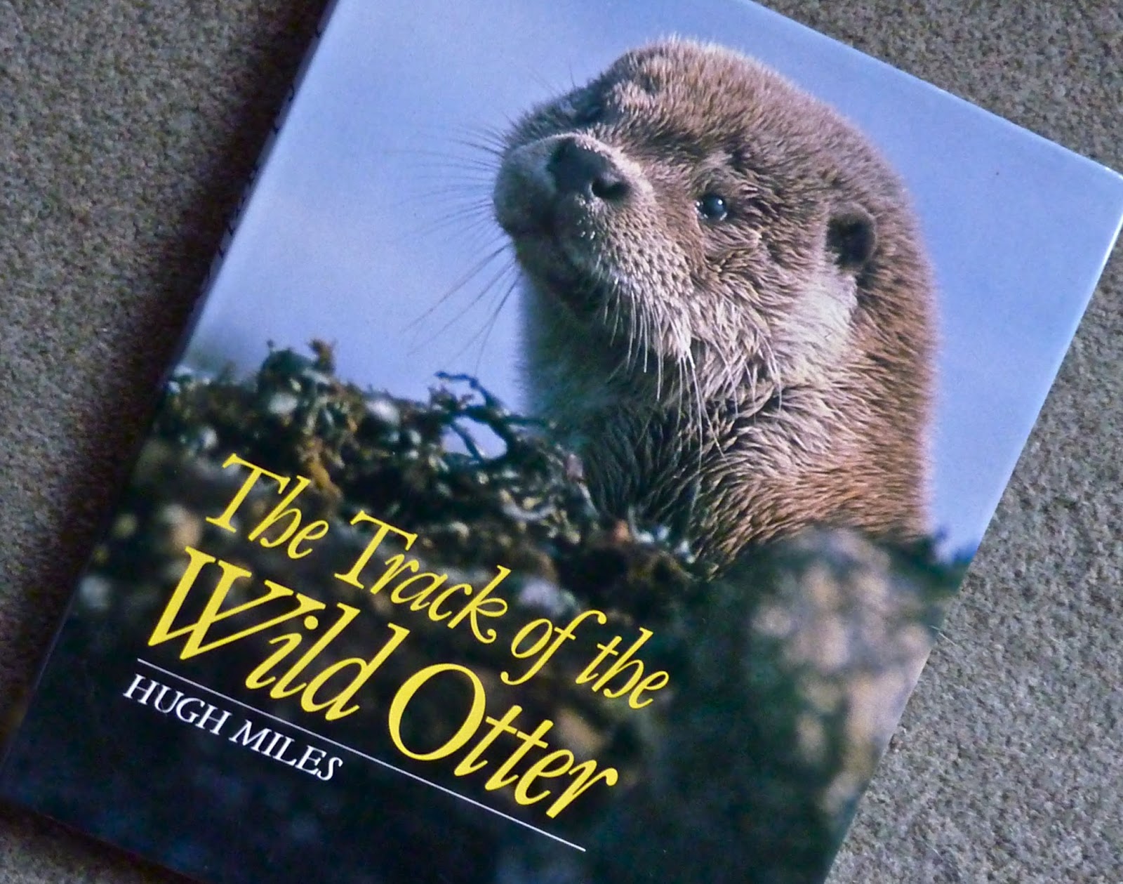HUGH MILES - WILDLIFE ADVENTURES: BBC - FILMING OTTERS
