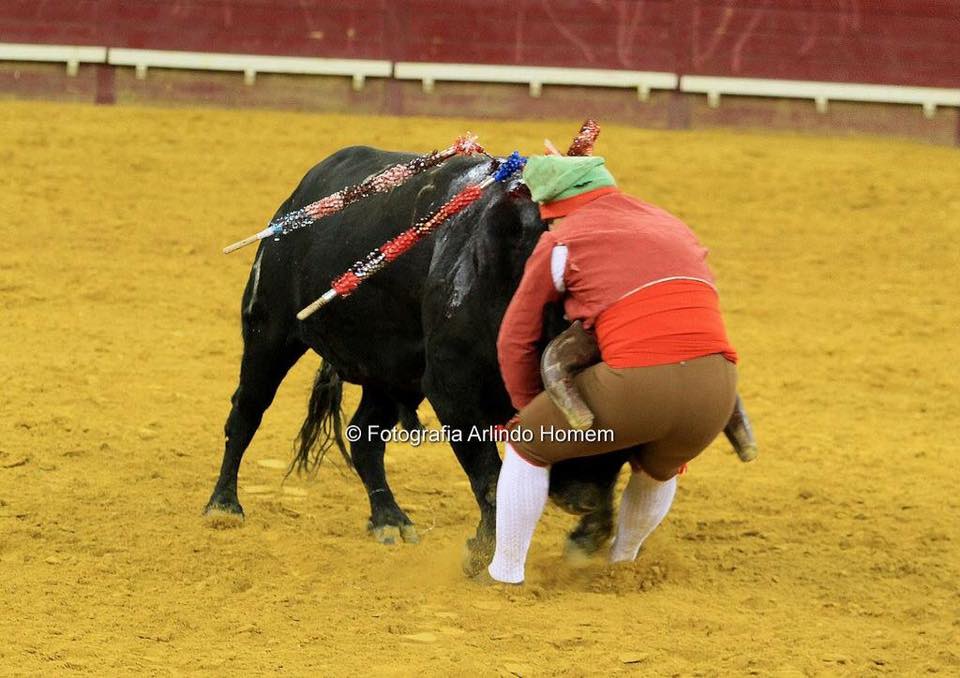 Tomar na Rede: Grupo de Forcados Amadores de Tomar tem novo cabo