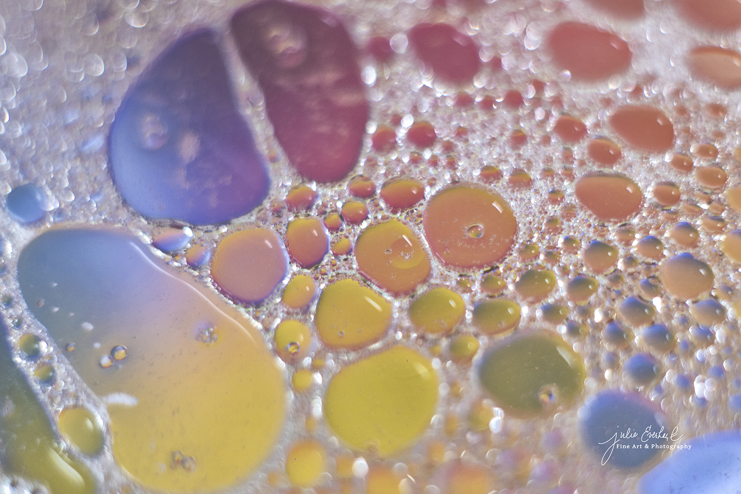 Julie Everhart Fine Art & Photography: Oil and Water Photography