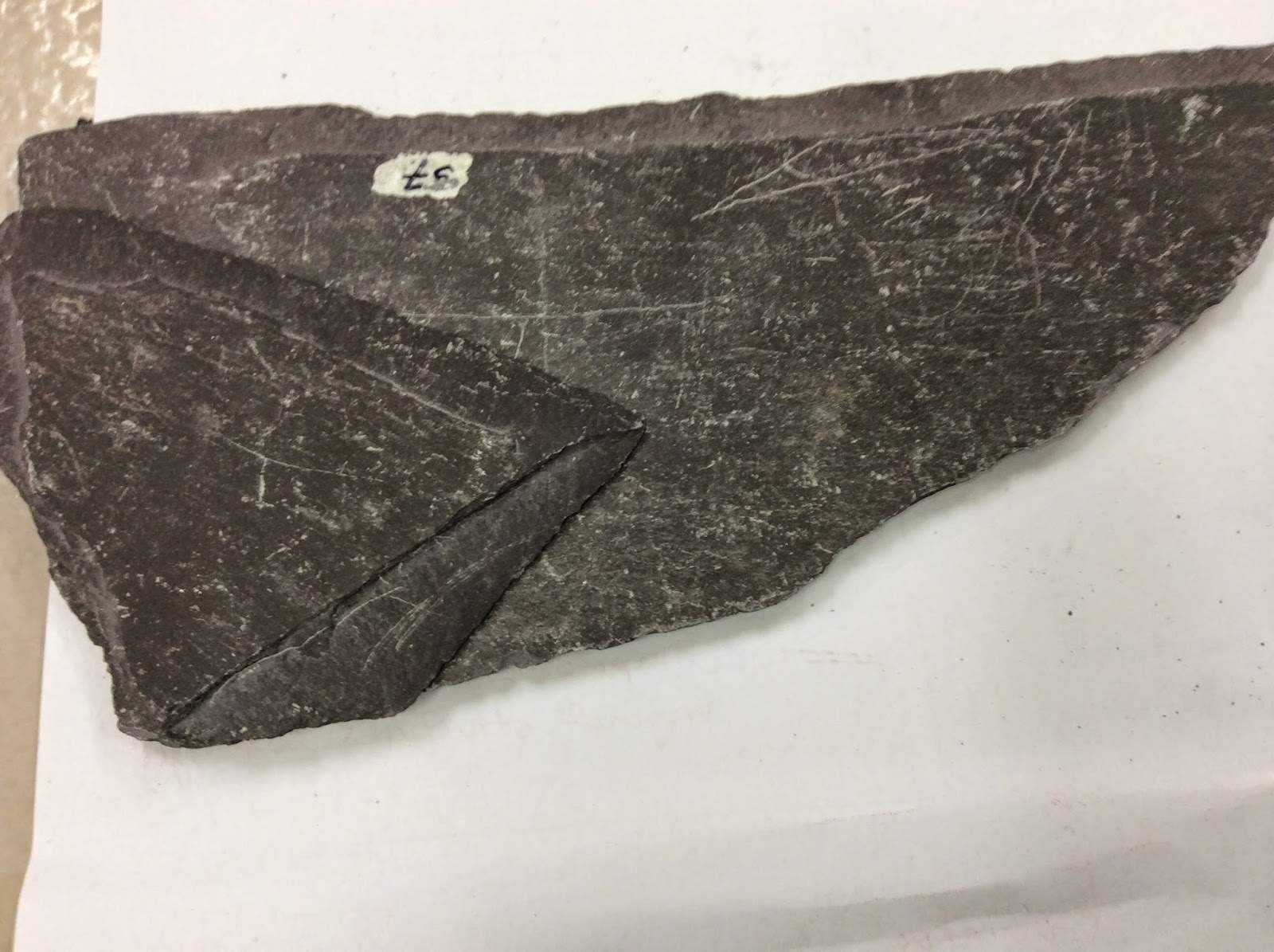 Canterbury Geology: Metamorphic Hand Samples