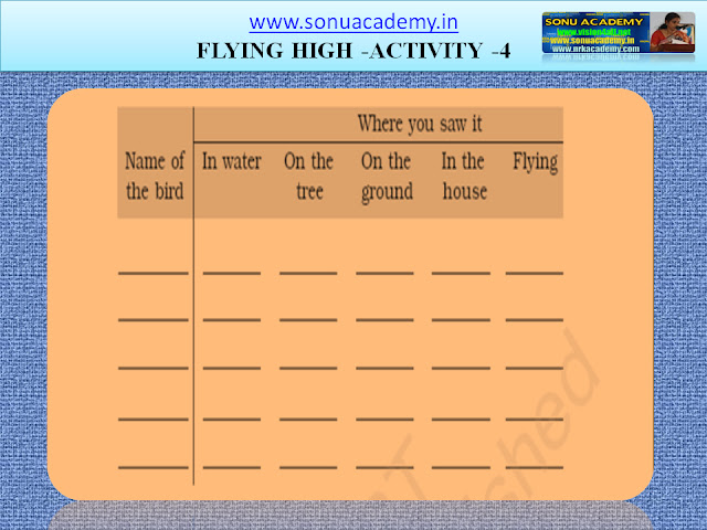 SONU ACADEMY: FLYING HIGH - ACTIVITY