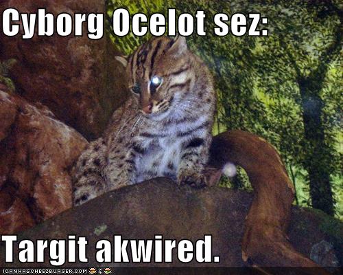 Ocelot - Leopardus pardalis funny picture | DAILY NEWS